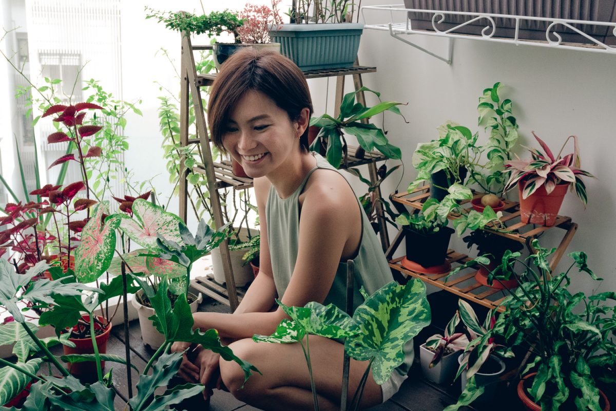 About Us - Picky Prickly Plants